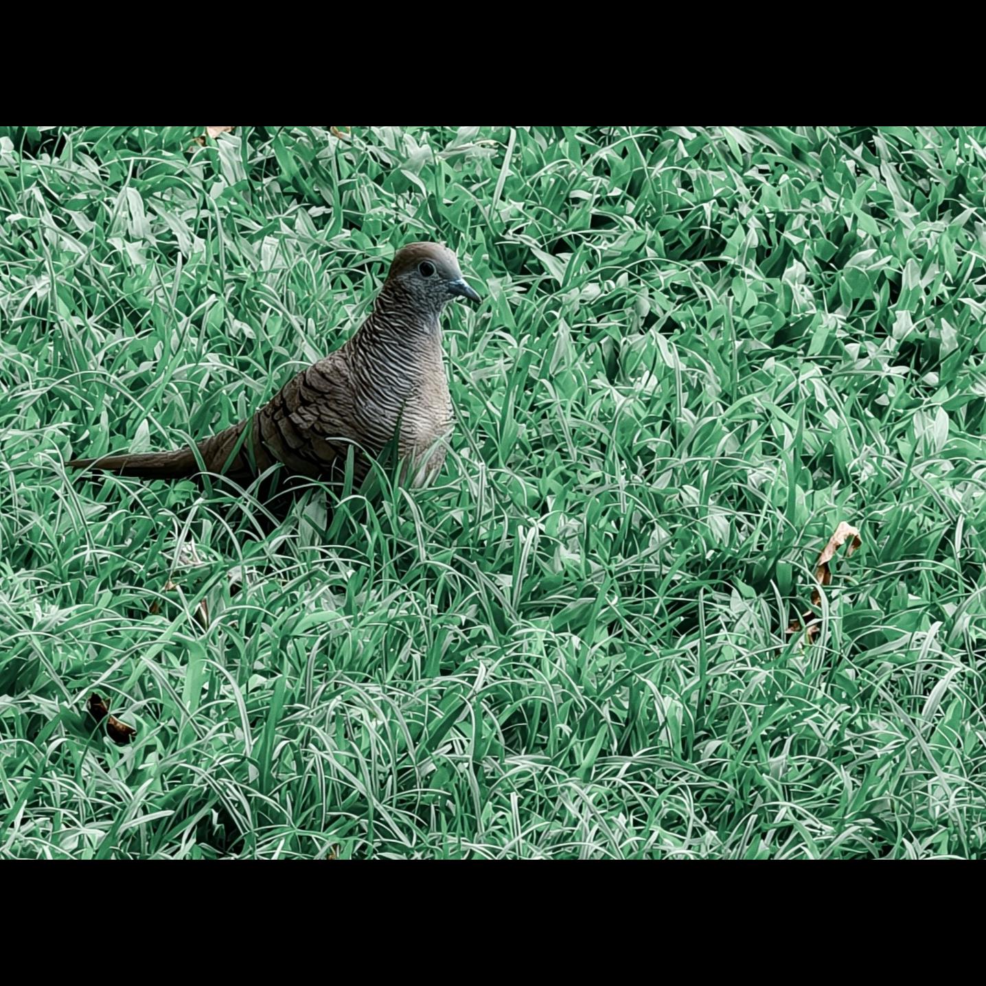 TIEZA Reinforces the Legacy of Club Intramuros Golf Course as a Premier ...
